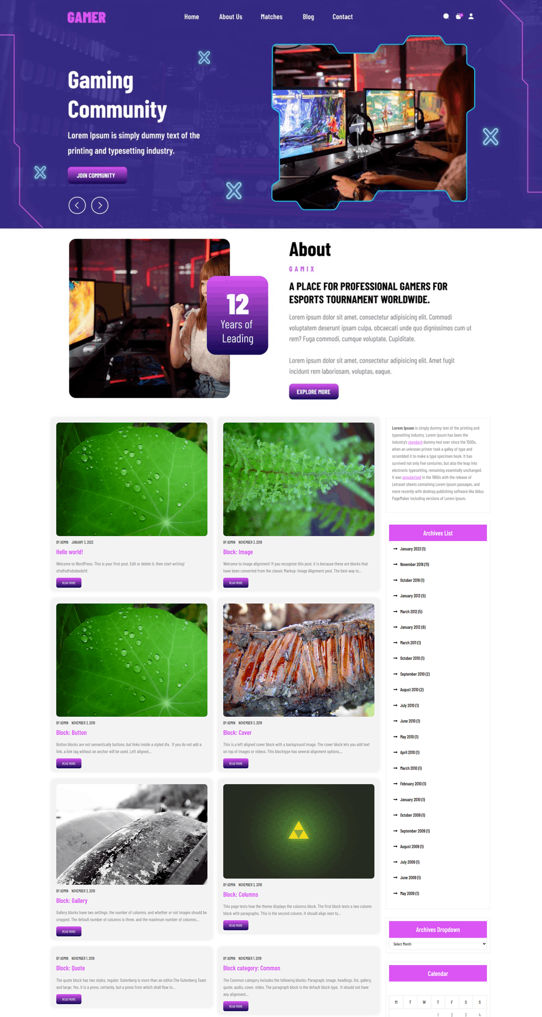 Free VR WordPress Theme – Themagnifico